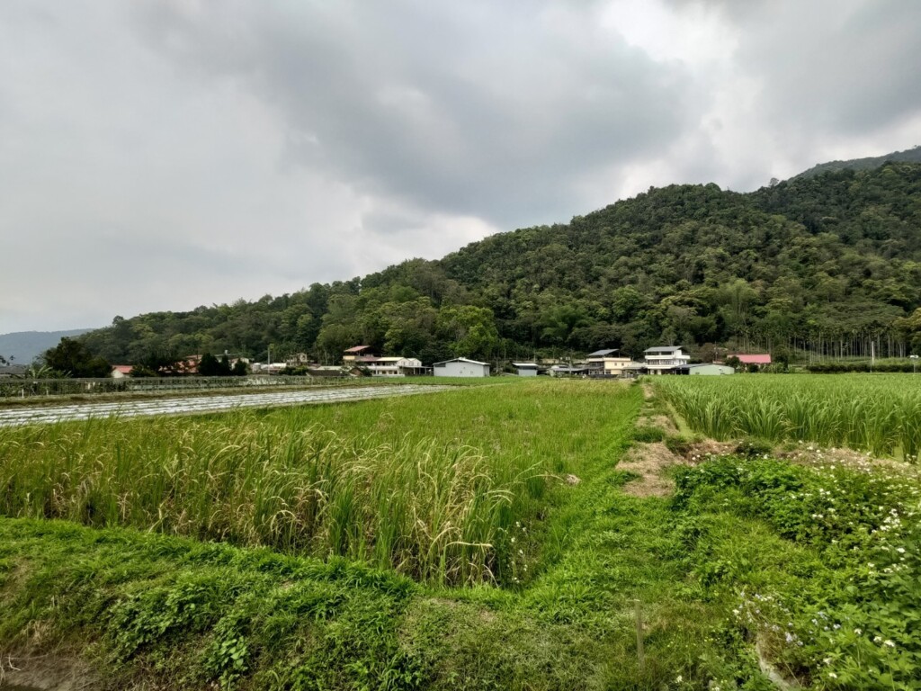 近溫泉區方正小田~~~大埔里房仲專家 南投縣埔里鎮買房子、房屋出售 樂屋網