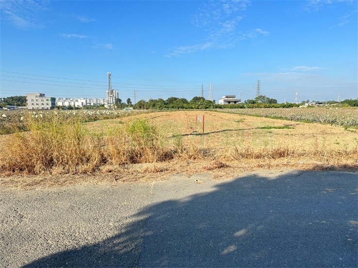 農地埤子頭工業區2分8農地台南市關廟區關新路二段 樂屋網 土地買賣