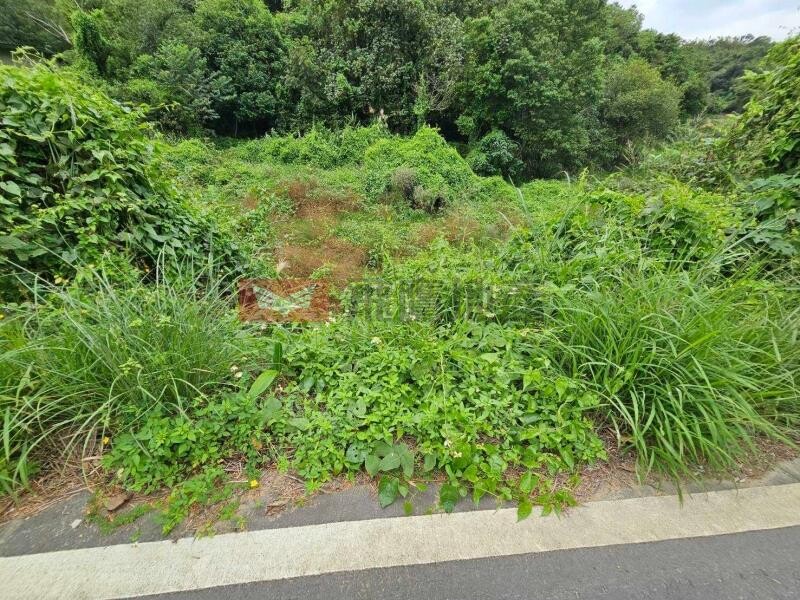 農地寶山臨路有水電聚寶盆美地新竹縣寶山鄉三叉凸段 樂屋網 土地買賣