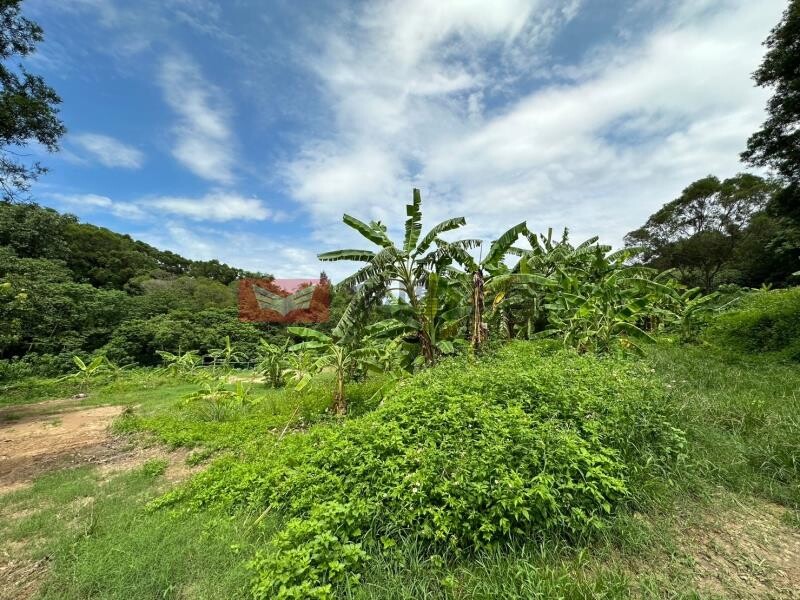 建地希望之丘休閒地a苗栗縣後龍鎮龍坑段 樂屋網 土地買賣