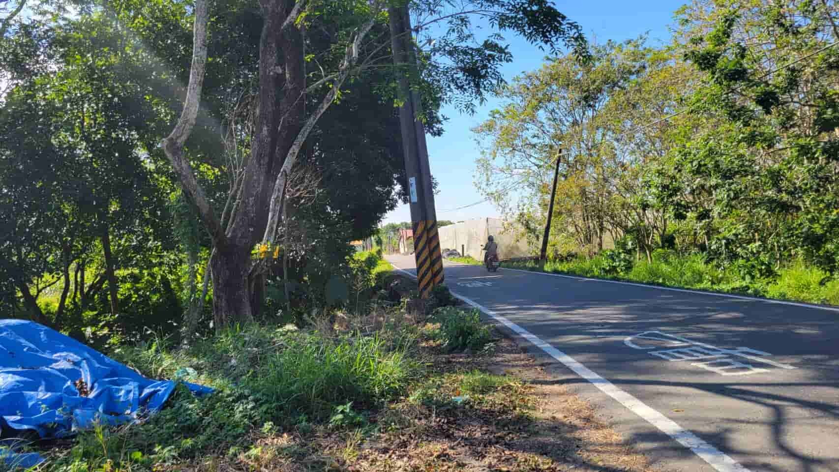 農地現成包租公、生活機能方便的便宜農地只有一件高雄市旗山區富林街 樂屋網 土地買賣