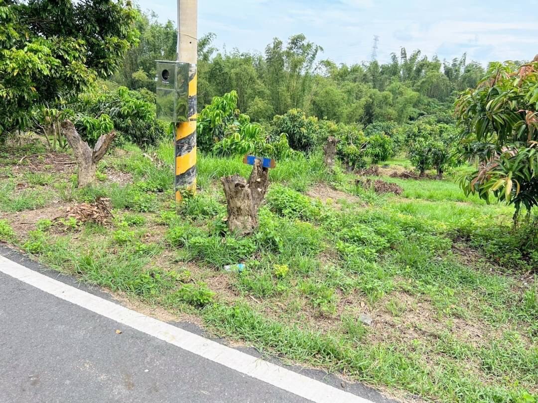 田寮樂活休閒養身臨路超優質農地 高雄市田寮區買房子、房屋出售 樂屋網
