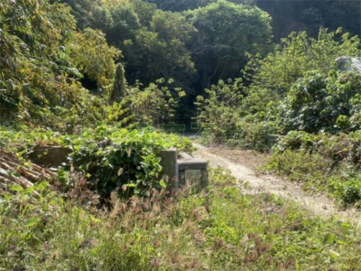 農地燕巢金山便宜農保農地高雄市燕巢區金山路 樂屋網 土地買賣