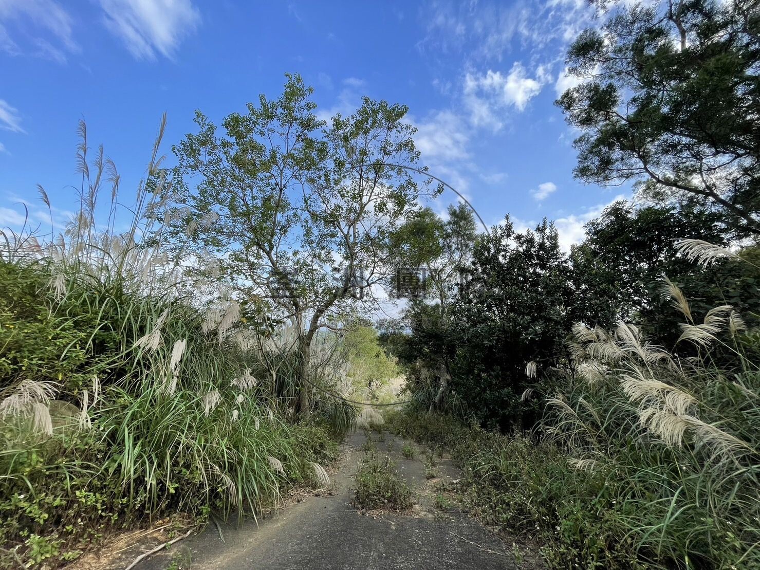 農地新埔北打鐵坑段山坡地農地持分新竹縣新埔鎮北打鐵坑段大北坑小段 樂屋網 土地買賣