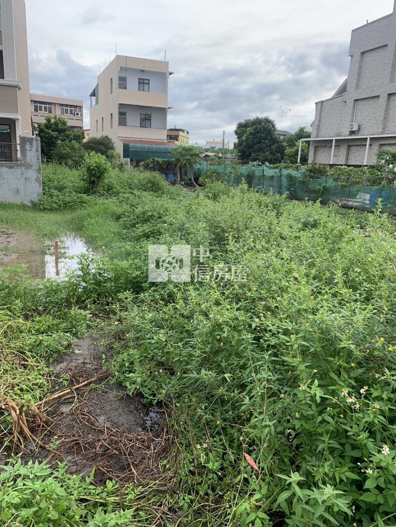 建地斗南新光建地雲林縣斗南鎮新光段 樂屋網 土地買賣