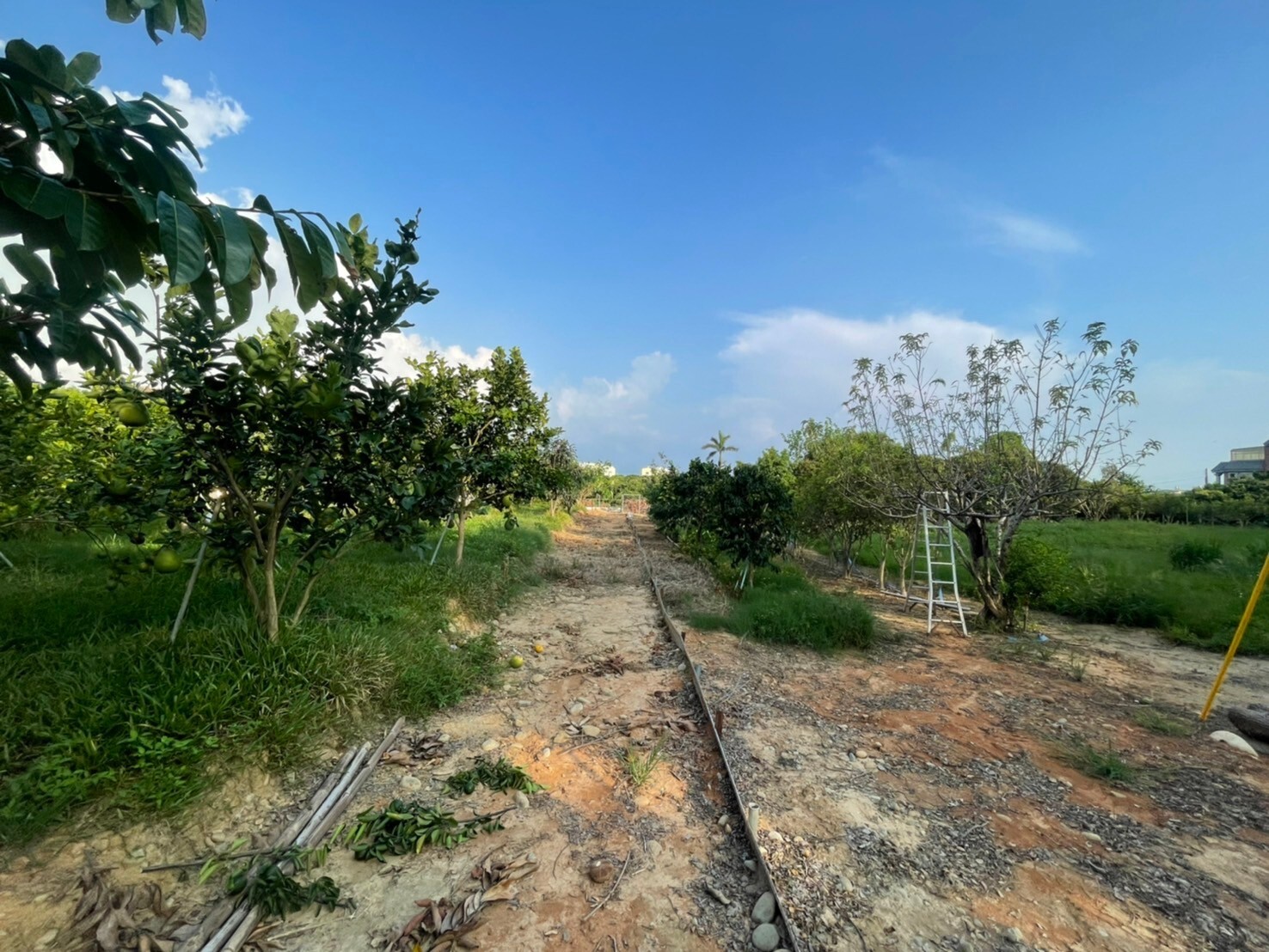 台灣房屋【昕倚 】 正綠園道旁農地 有電 台中市大雅區買房子、房屋出售 樂屋網