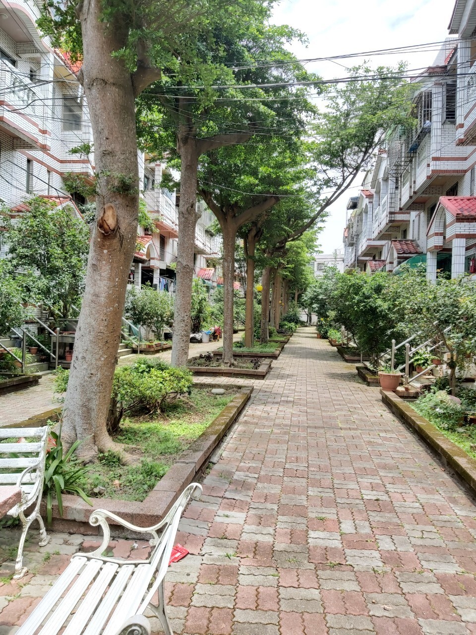 楊梅大鎮桃園市楊梅區泰圳路透天厝近楊梅國小便宜別墅 房屋出售 樂屋網