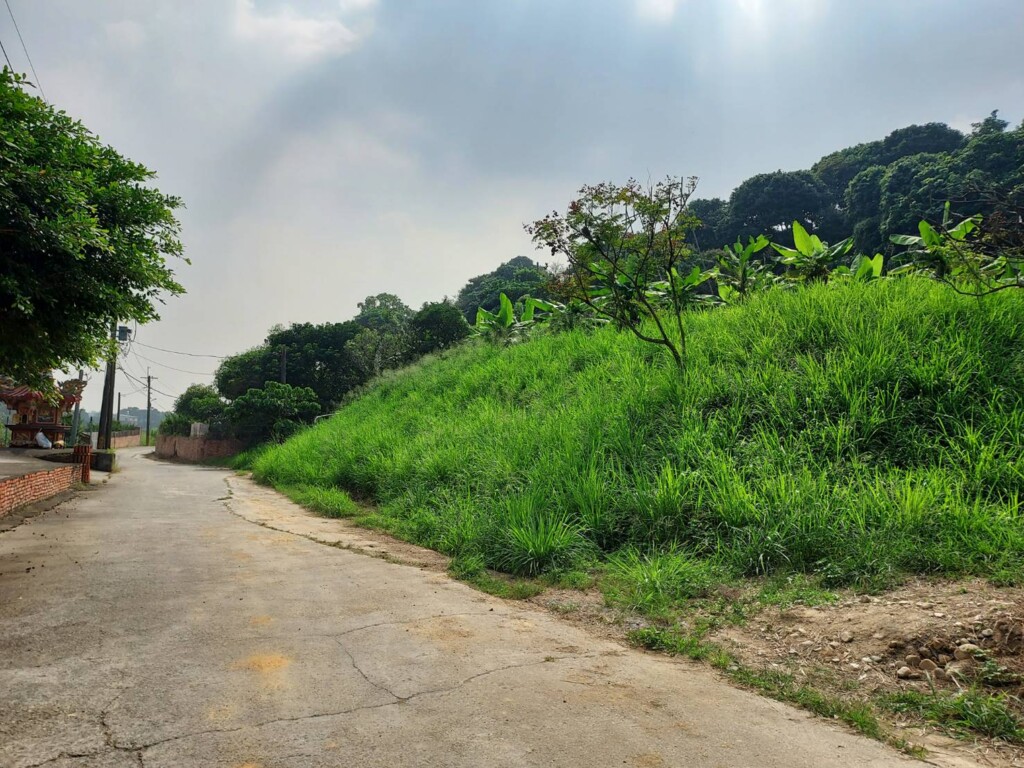 農地近大樹行政中心便宜休閒農地高雄市大樹區龍目段 樂屋網 土地買賣
