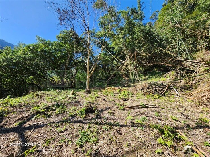 農地東眼山臨路平坦農地新北市三峽區東眼段金敏子小段 樂屋網 土地買賣