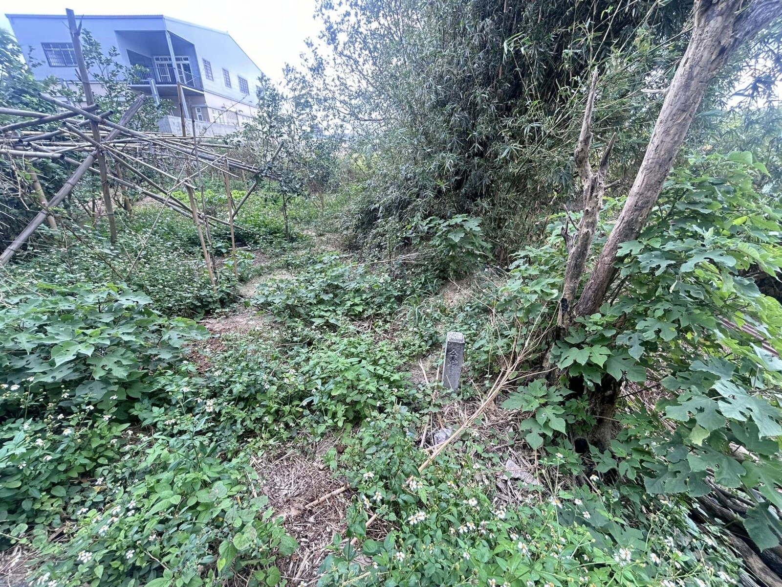 小綺 竹南大矽谷投資農地 苗栗縣竹南鎮買房子、房屋出售 樂屋網