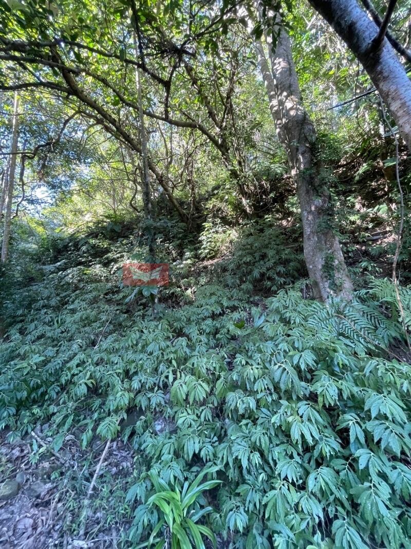 其他專任南庄老街美林地b苗栗縣南庄鄉北獅里興段 樂屋網 土地買賣