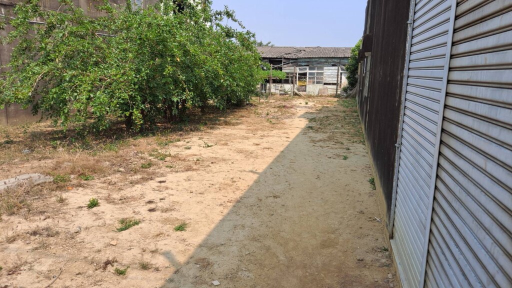 建地台灣房屋阿蒼善化南科成功路42坪建地台南市善化區成功路 樂屋網 土地買賣