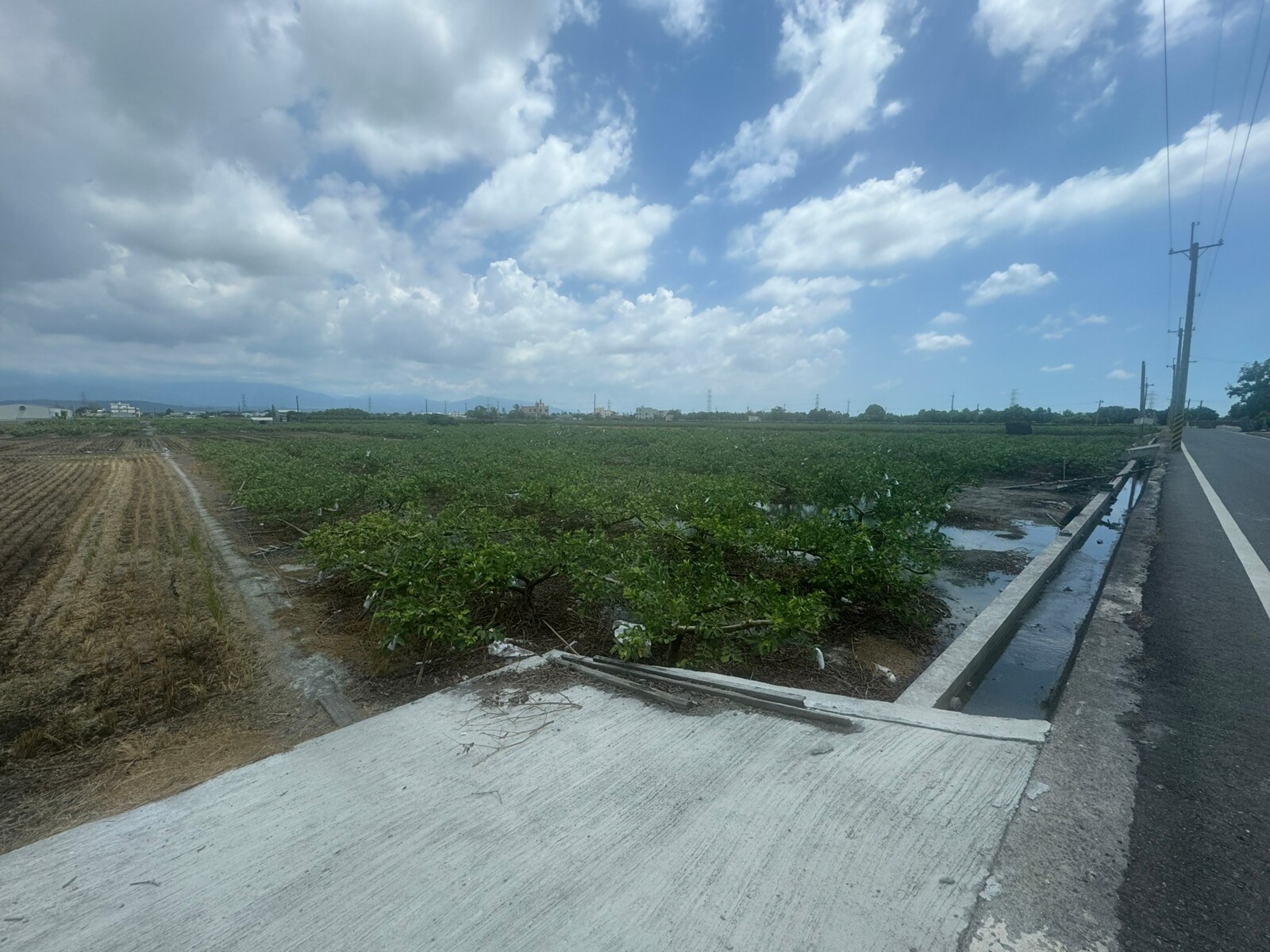 斗六房地產阿信~溪州鄉近綠筍路2分8農地 彰化縣溪州鄉買房子、房屋出售 樂屋網