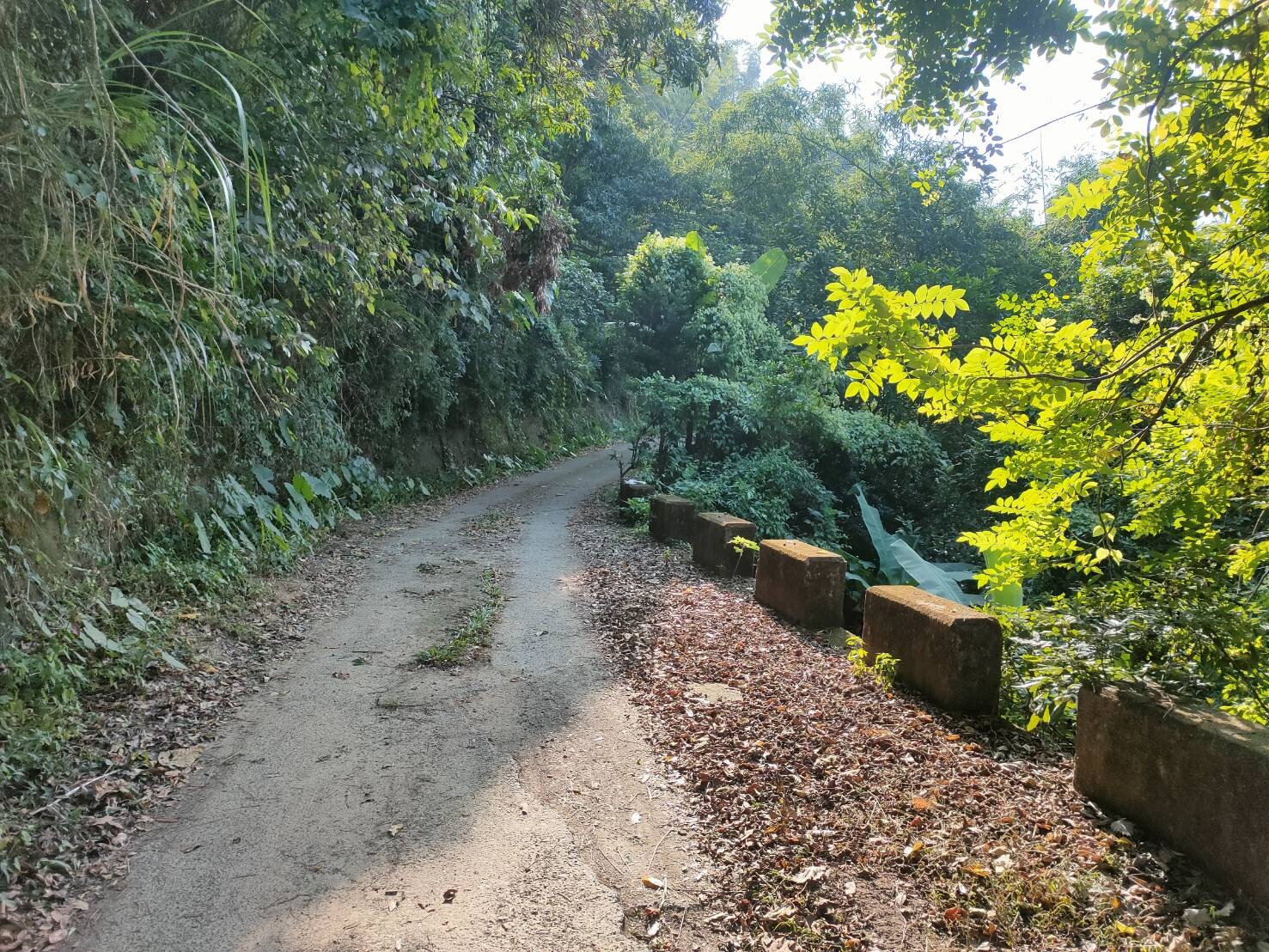 農地南投內轆段便宜山坡地南投縣南投市內轆段 樂屋網 土地買賣