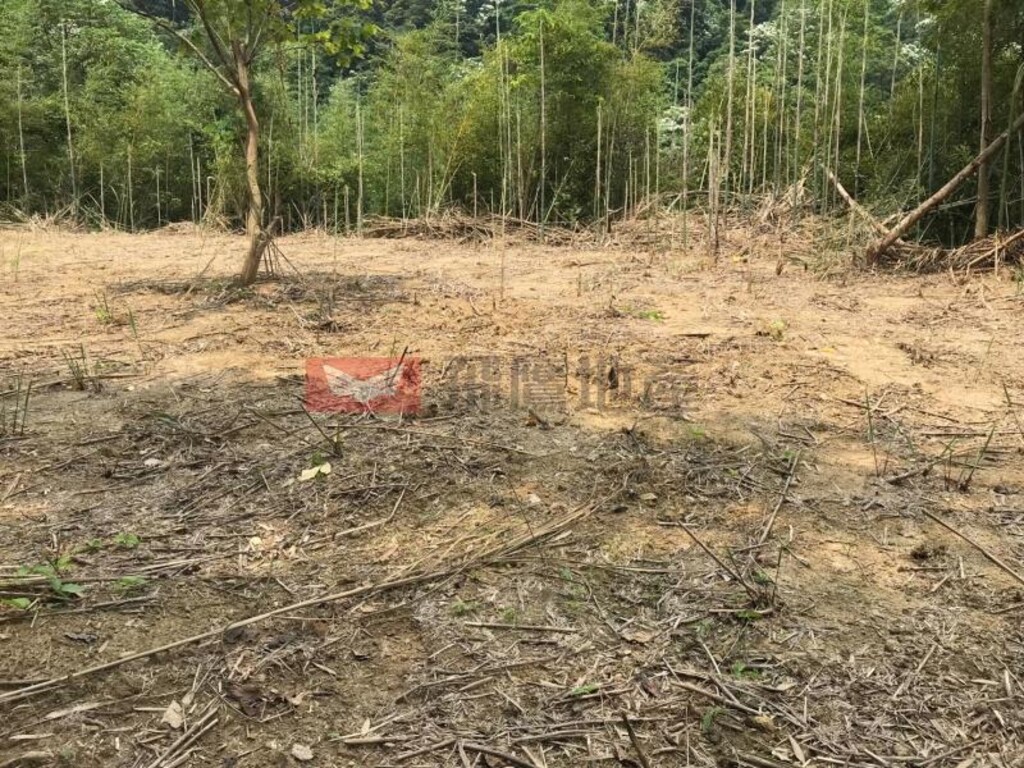 建地苗栗銅鑼超值大丙建苗栗縣銅鑼鄉老雞隆段 樂屋網 土地買賣