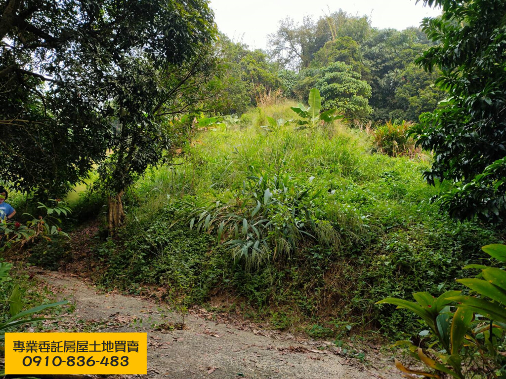 農地梅山竹崎交界農地嘉義縣梅山鄉大草埔段 樂屋網 土地買賣