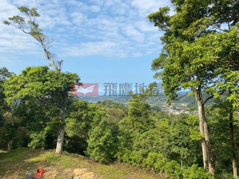 農地南庄低總價大坪數方正農地苗栗縣南庄鄉四灣段 樂屋網 土地買賣